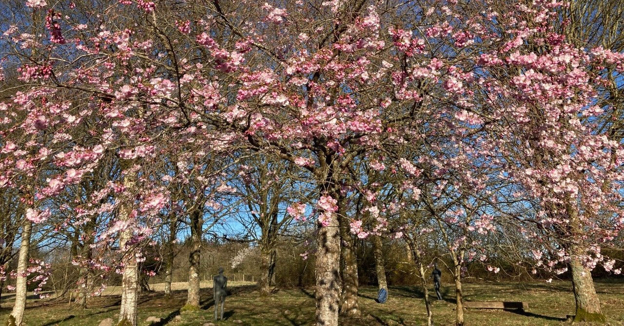 師匠の背中から学ぶ！｜Chie Aikawa