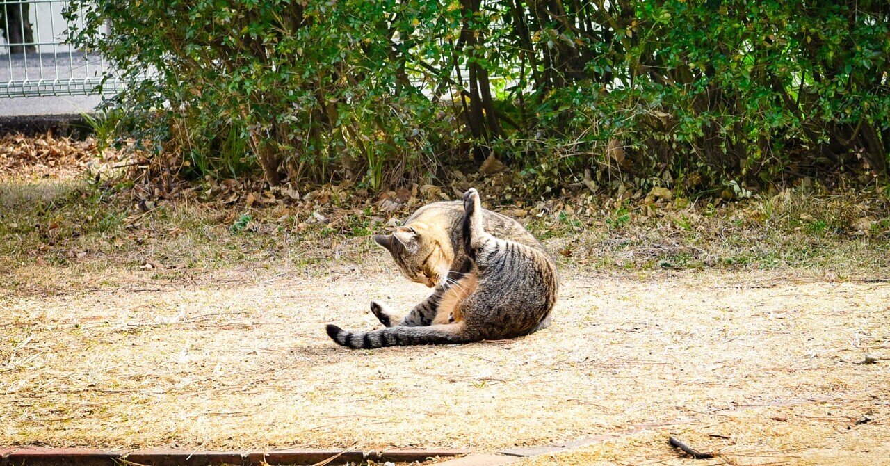 腹痛の時にだけ祈る神があなたにはいますか？｜LYNN Send/ 仙道Lynn