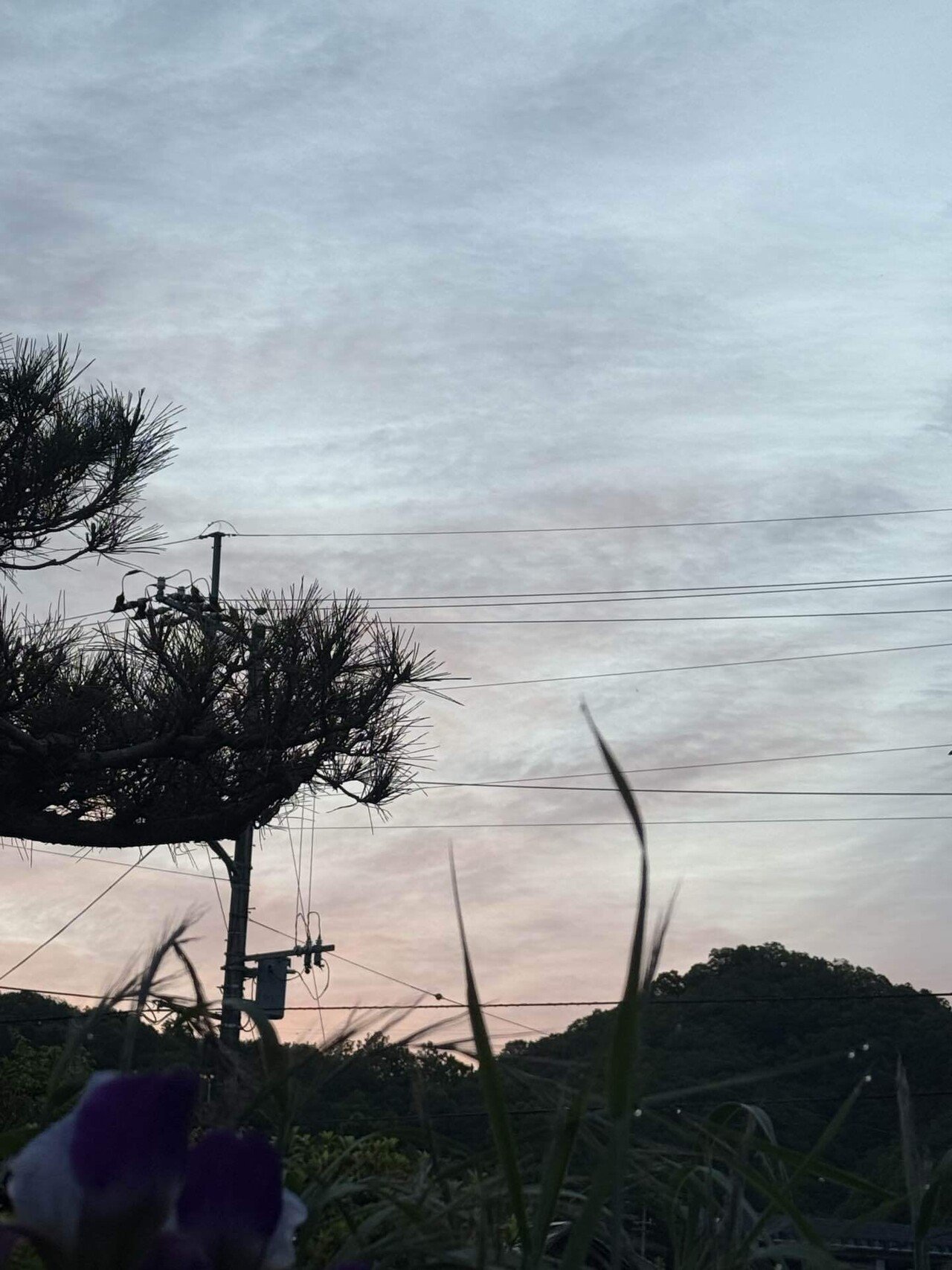 5/11 朝活｜Lily Kobayashi