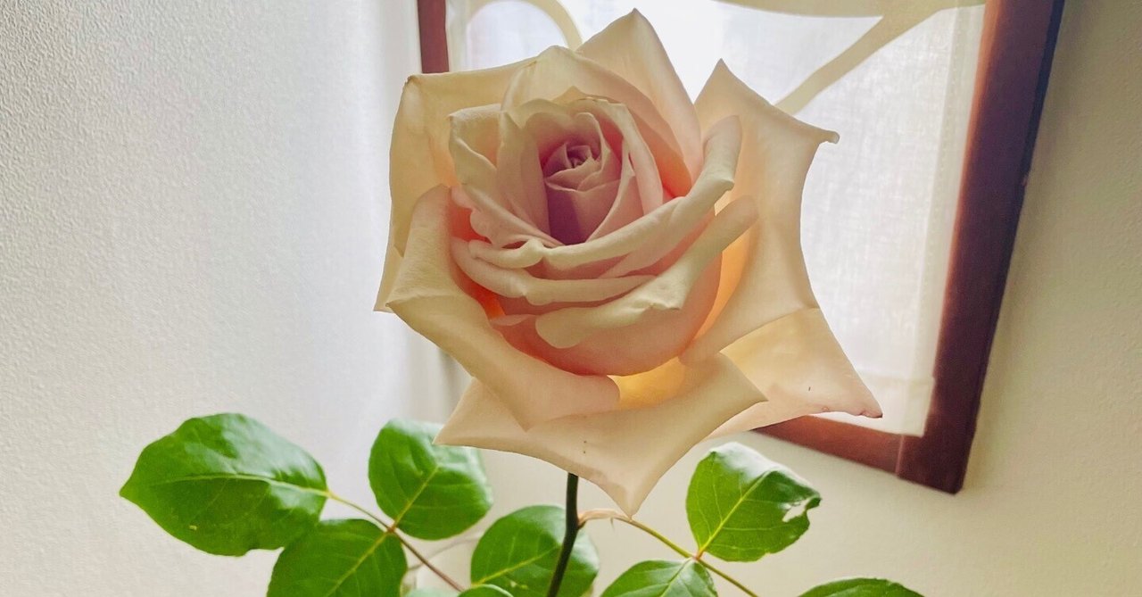 灯台下暗し｜Studio Nest