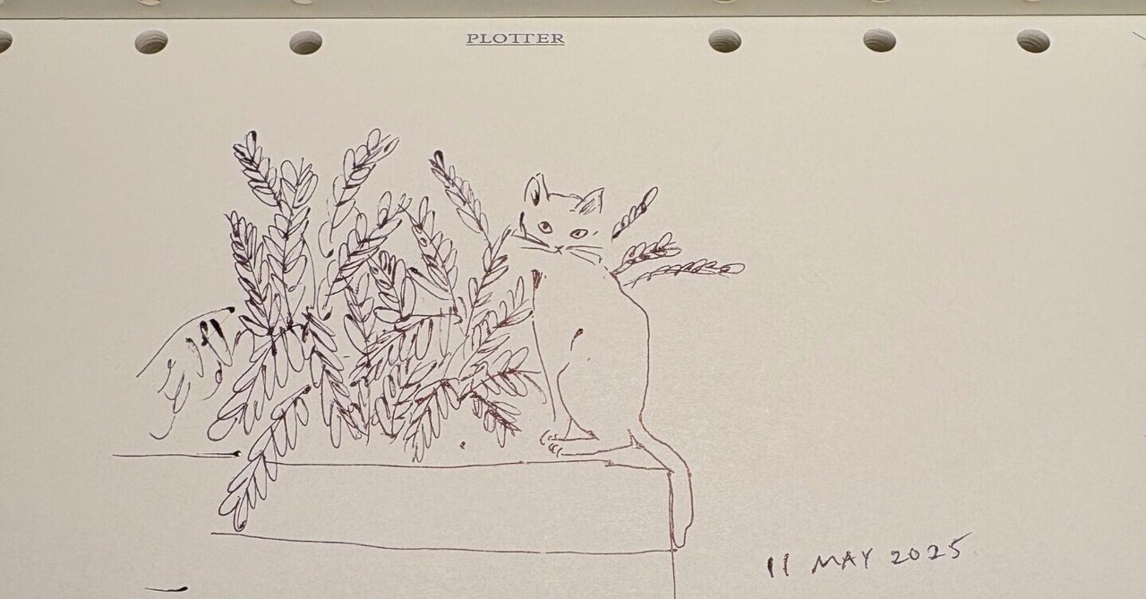 Taiwan for WHA｜natu