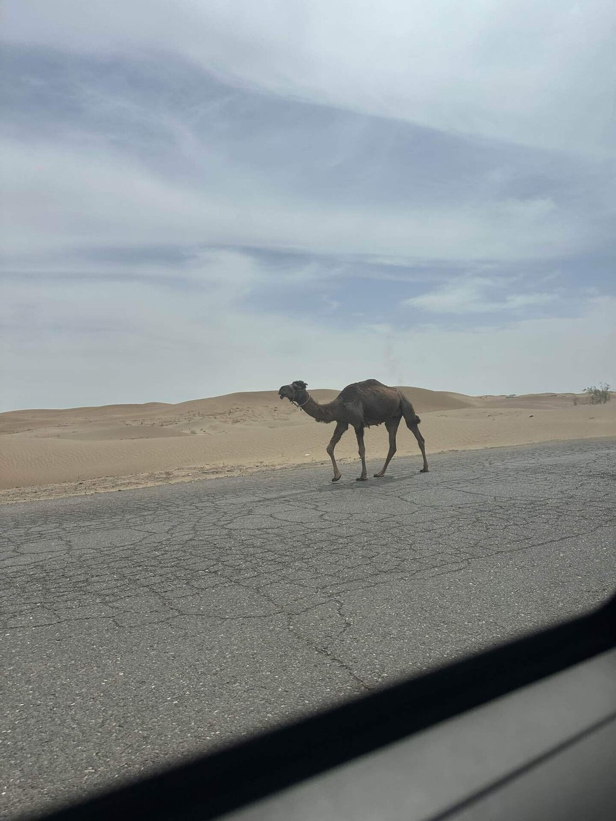 中央アジア1ヶ月旅｜萩原雅之 / Mαsayuki Hagiwara