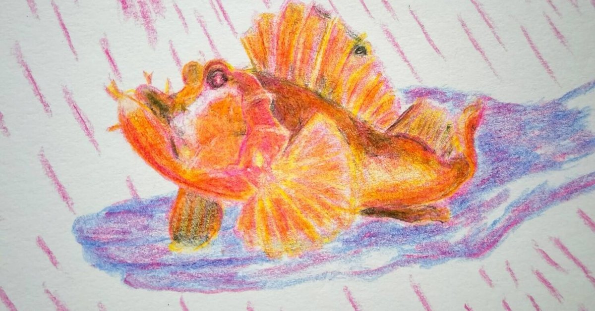 魚好きなら絶対読むべき図書水族館 Vol.1 ナミダカサゴ｜HATAHATA