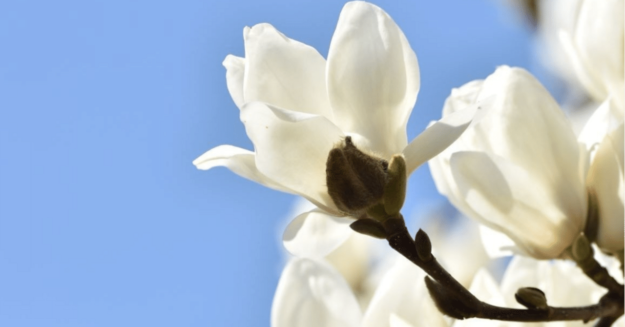 🩶反省点50個 自分磨き編 1｜恋活のプロ Nanami Gigi