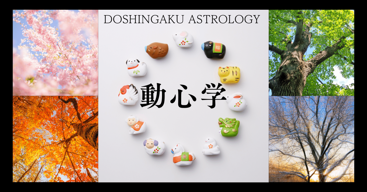 161.動心学とは？｜Masami | M.Tree 人生デザイン手相コーチ ＜手相・動心学xノート術xコーチング＞