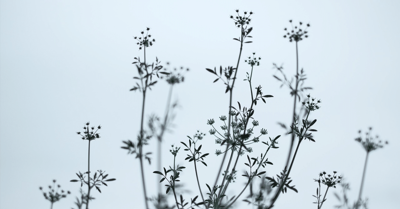 うつ病、退職、孤独。私の本当の気持ち｜つばさ