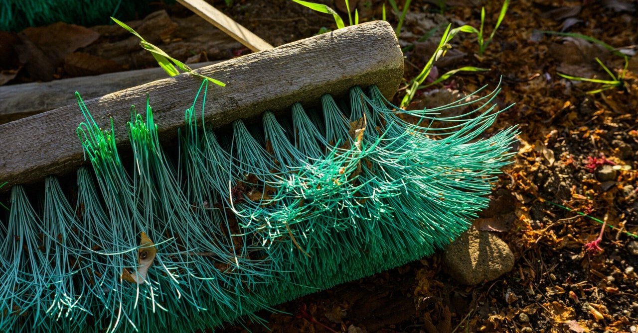 写真日録 4/26-5/10｜荒田詩乃/Shino Arata