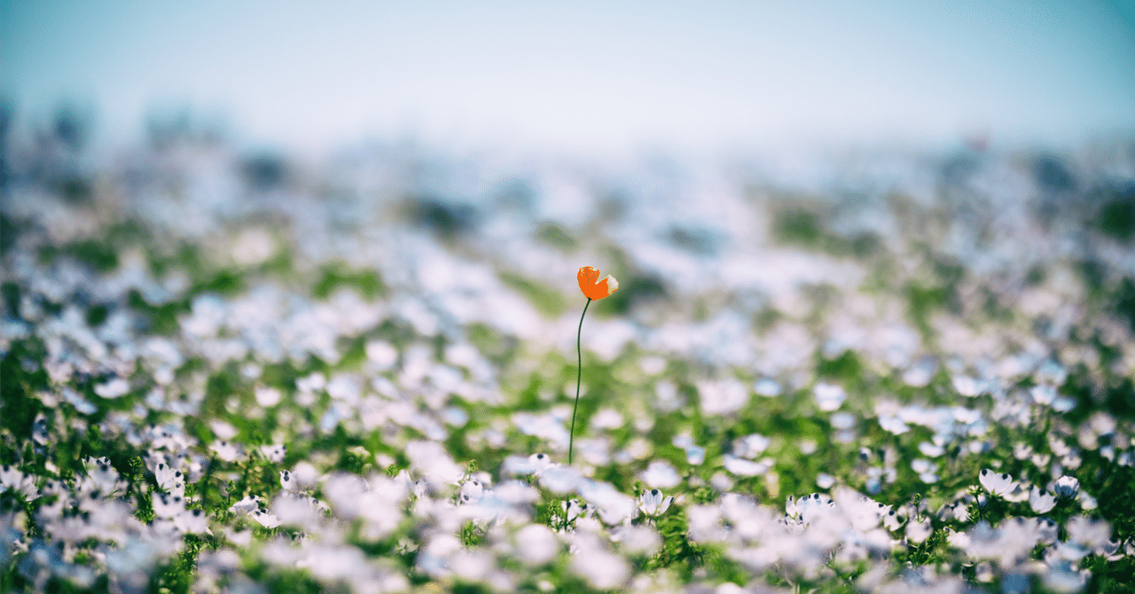 40代後半👩転職活動日記｜mmm