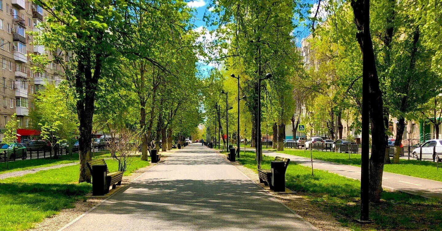 Taiyo Ishikawa｜note