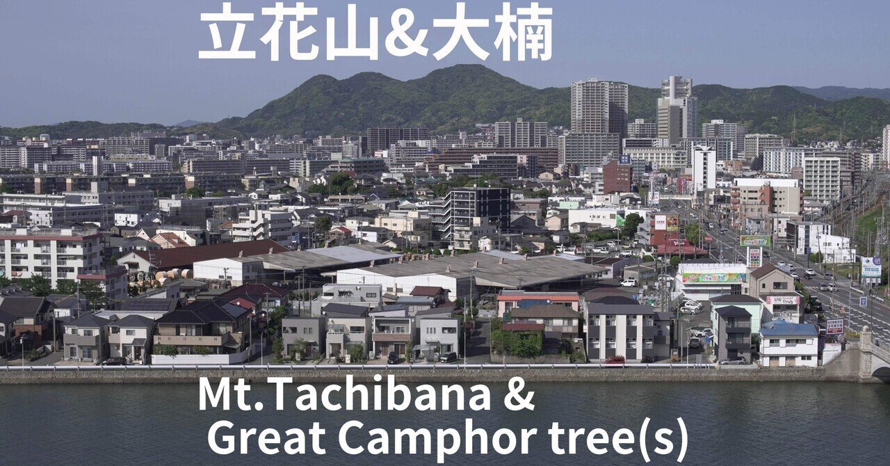 立花山と立花山の大クス Mt.Tachibana & Great Camphor tree(s) (福岡市東区,Higashi Ward,Fukuoka City)｜MELLOW TIMES ...