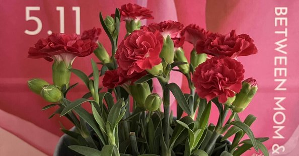 おすすめ英語絵本＋英語多読 | mother eigo | Akane｜note