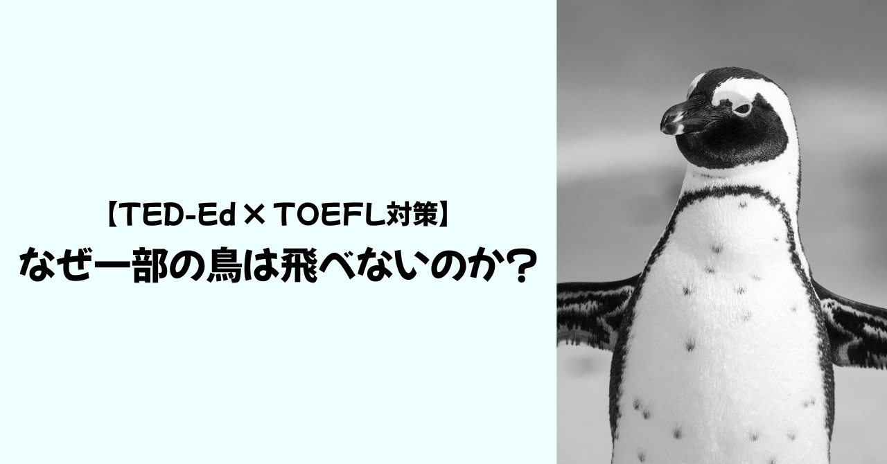 【TED-Ed × TOEFL対策】なぜ一部の鳥は飛べないのか？｜飛べない鳥の進化｜シナぷす