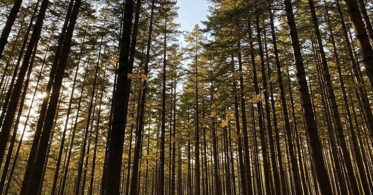 クリエイティブ産業の最新トレンド分析レポート：2024-2025｜BOTTA_3(AIアーティスト)