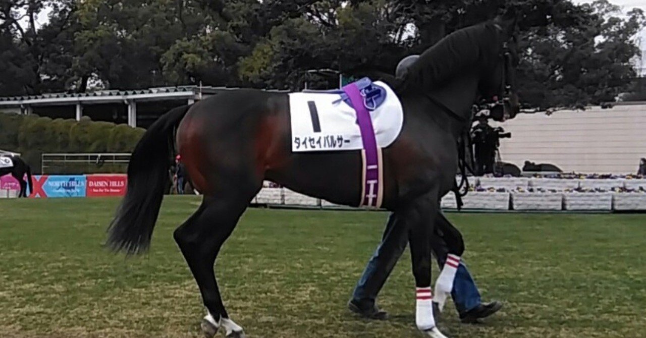 2/8（土）京都4R 1番人気馬｜JRDB 競馬アラカルト｜note