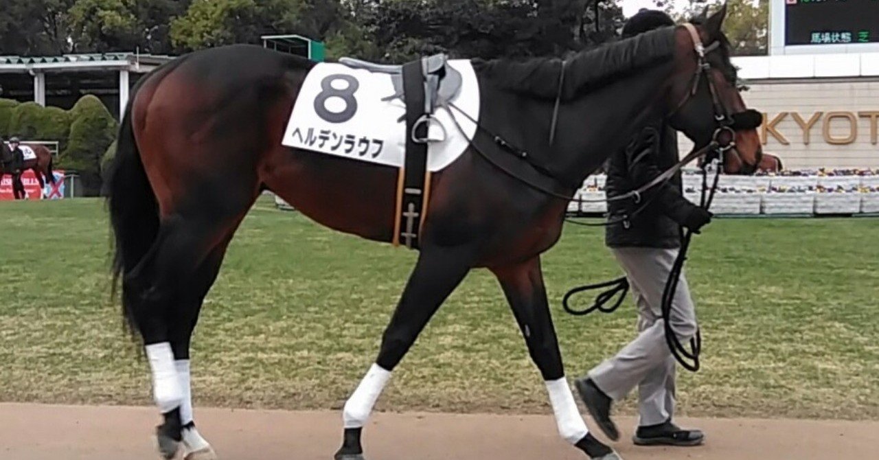 2/8（土）京都6R 1番人気馬｜JRDB 競馬アラカルト