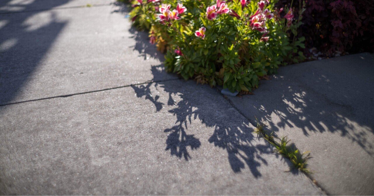 久々のフォトウォーク｜helloryuji