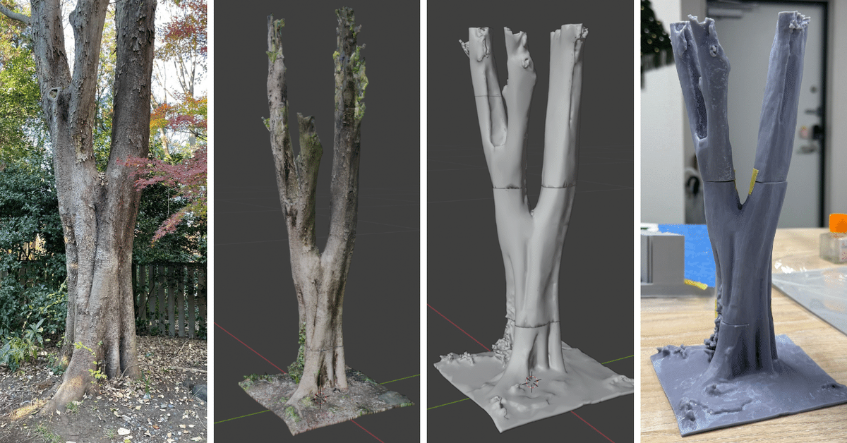境内の木をスキャンして3Dプリンターでキット化しました｜Nerima Base - ネリマベース