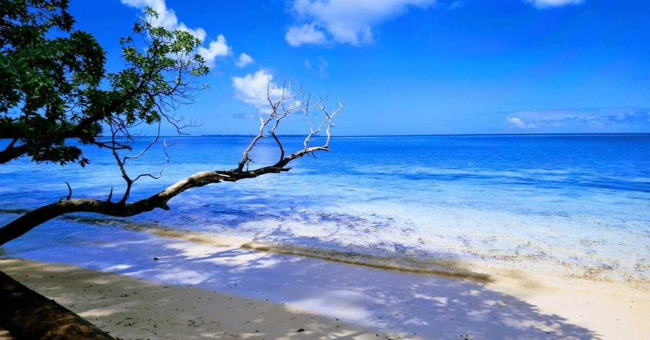 右脳的ファッション｜Junko