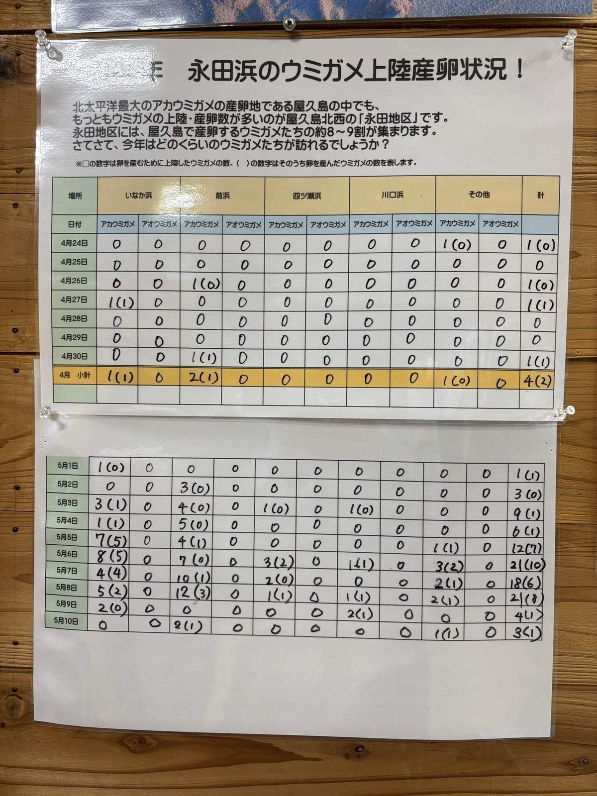 JKふたりで自然に飛び込んだ屋久島｜Riko Kasai@社会を旅する16歳🌏