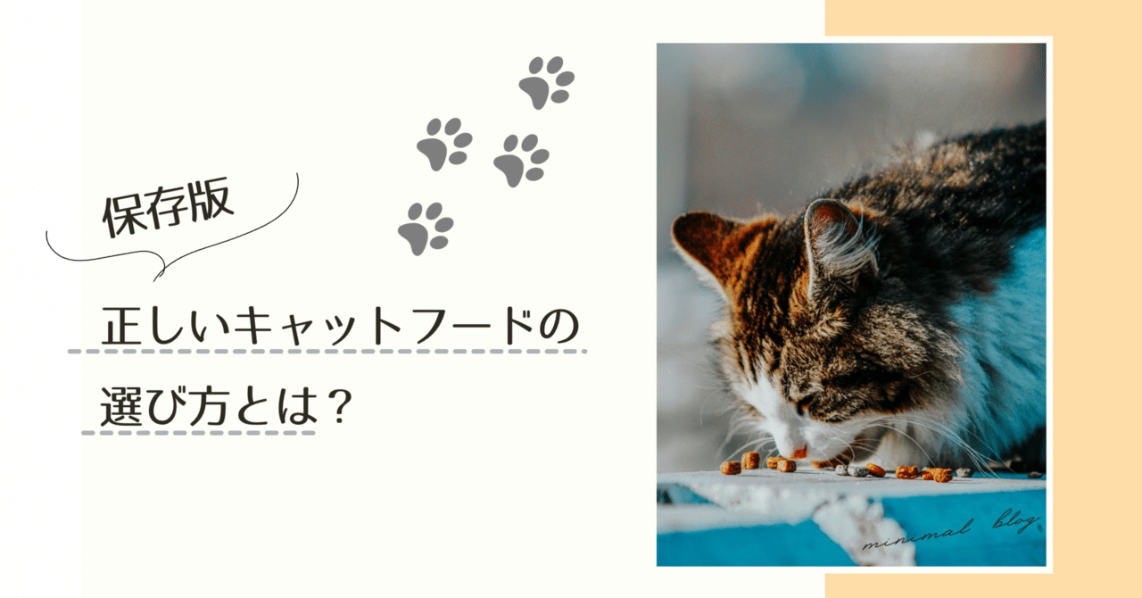 【保存版】正しいキャットフードの選び方とは？｜Moco pet note