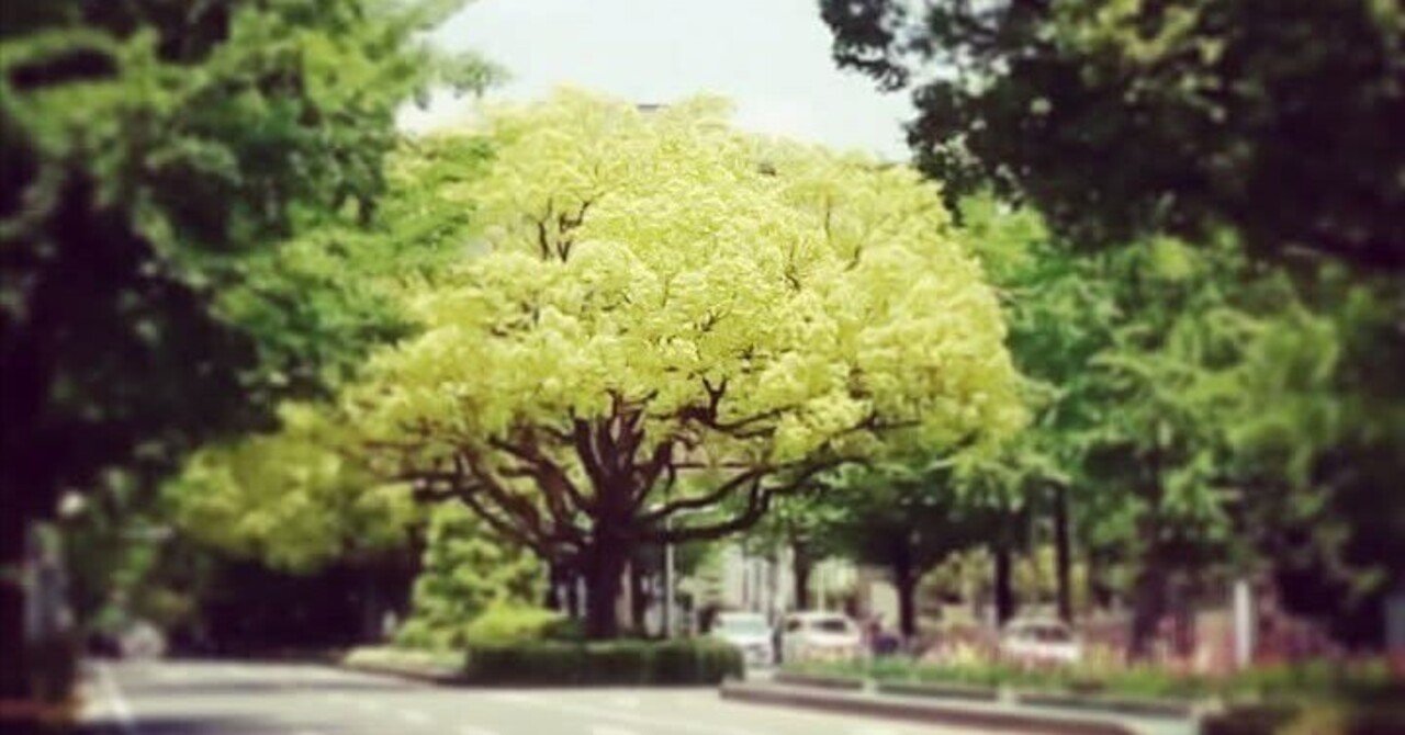 【楠】｜七色アガサnanairo_agasa