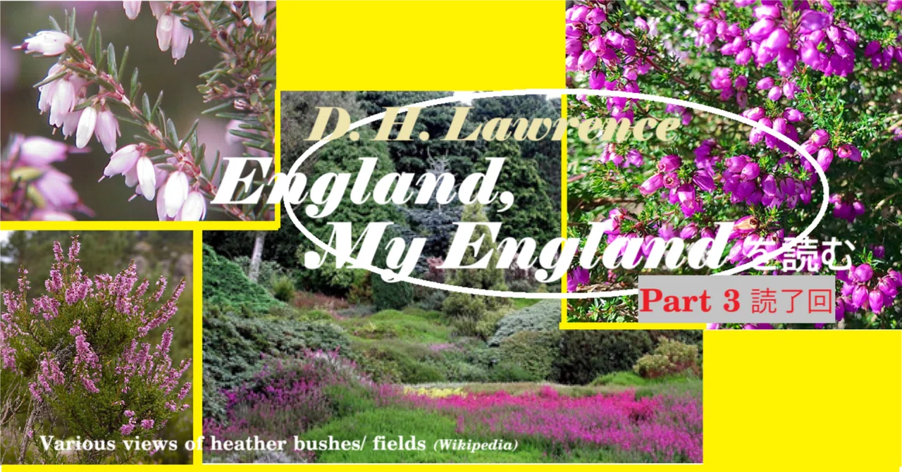 136回目 D. H. Lawrence; "England, My England" を読む（Part 3, 読了回）。花木や草花に溢れる ...