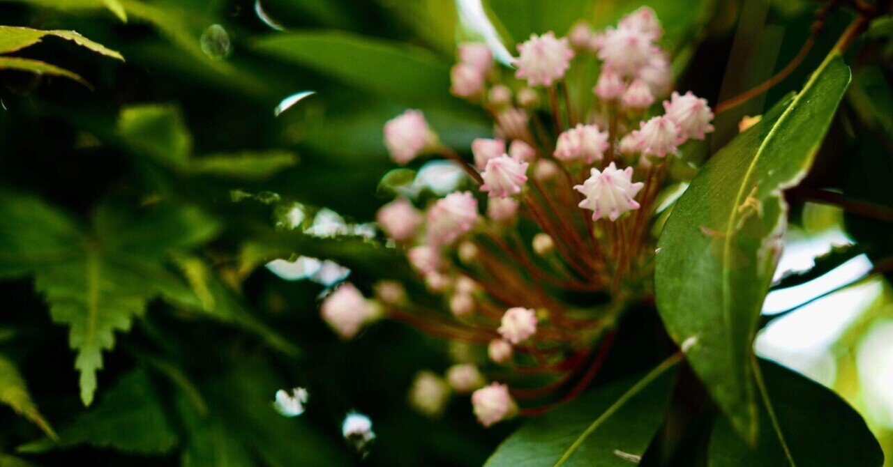 AA798回目 ステップ11 祈りと黙想｜anonymous7