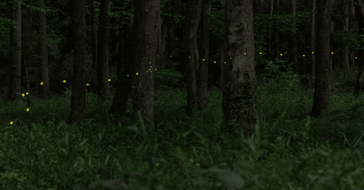 追悼 ムヒカ元ウルグアイ大統領と「自由」｜mami_buenosaires