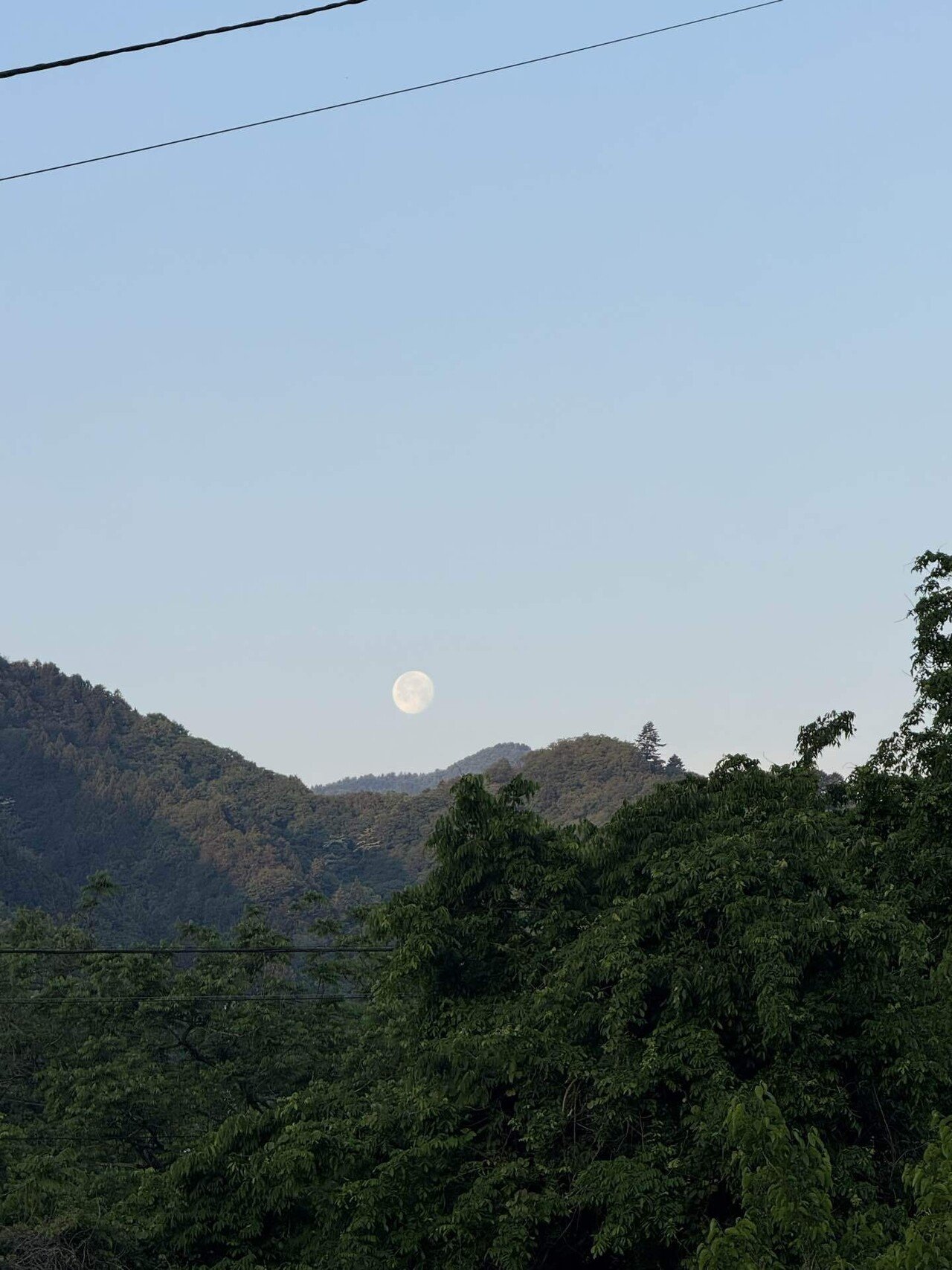 5/15 朝活｜Lily Kobayashi