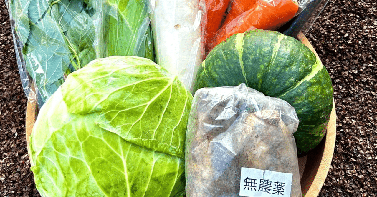 5/22（木）入荷予定の無農薬野菜｜マルカワみそ 売店ブログ