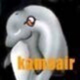 PIT改善 - 庭｜kamo｜note