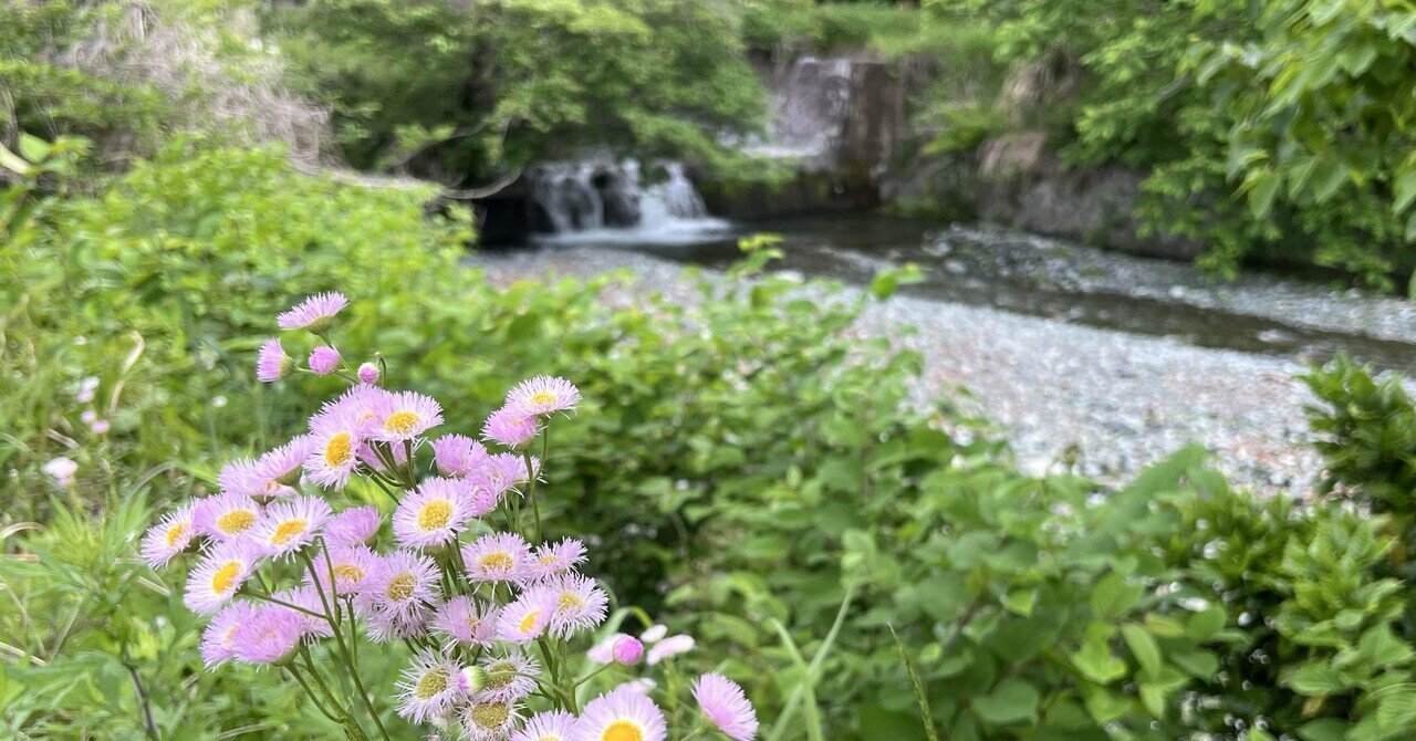 DAY 96 あの頃に戻りたい｜jucon110