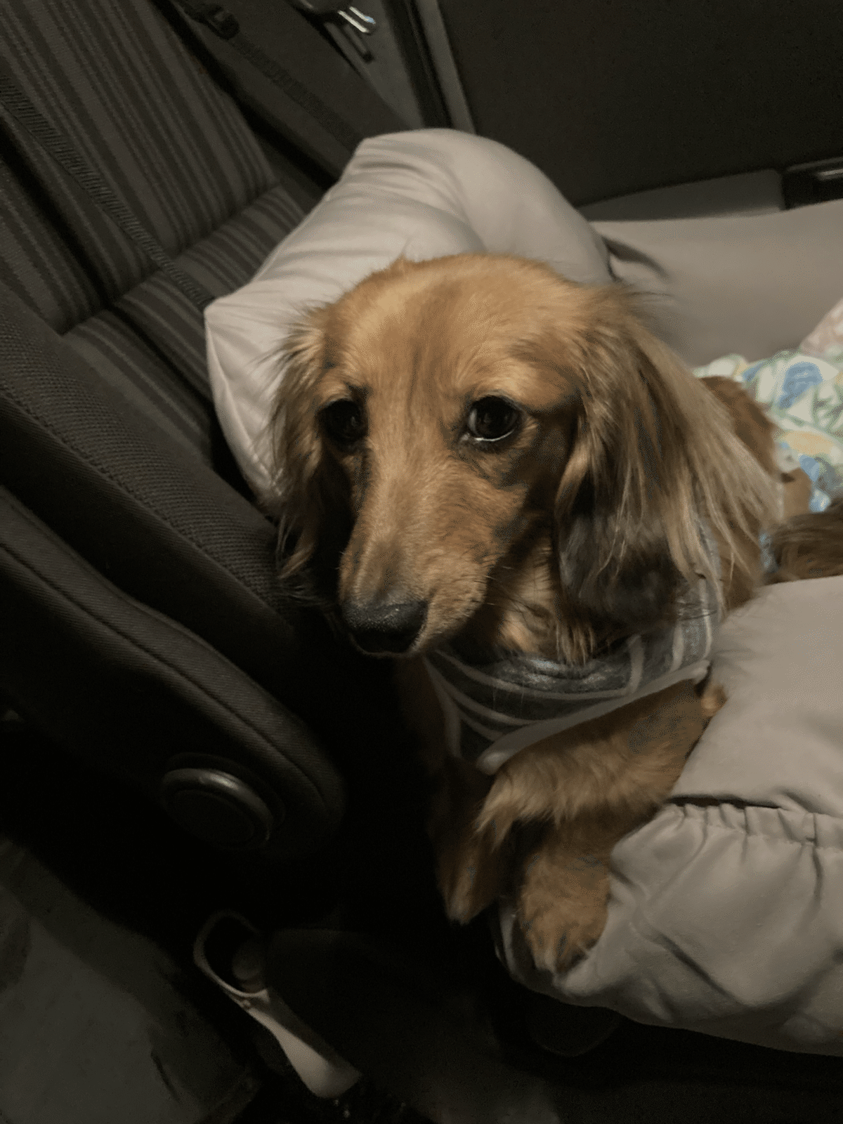 WEEP 沖縄遠征編｜koyama_weep