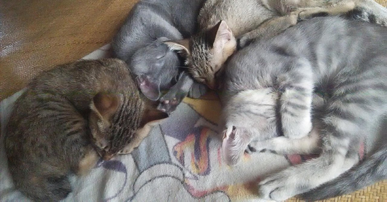 私の好きなアルバム其の116[番外編]｜kei1diablo