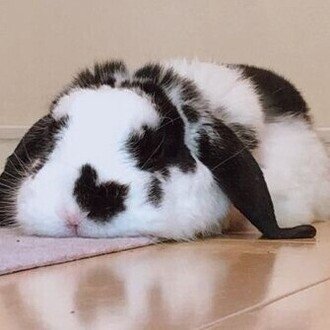 うさぎでもわかる🐰Claude Code設定ファイル完全ガイド｜taku_sid🐰エージェント