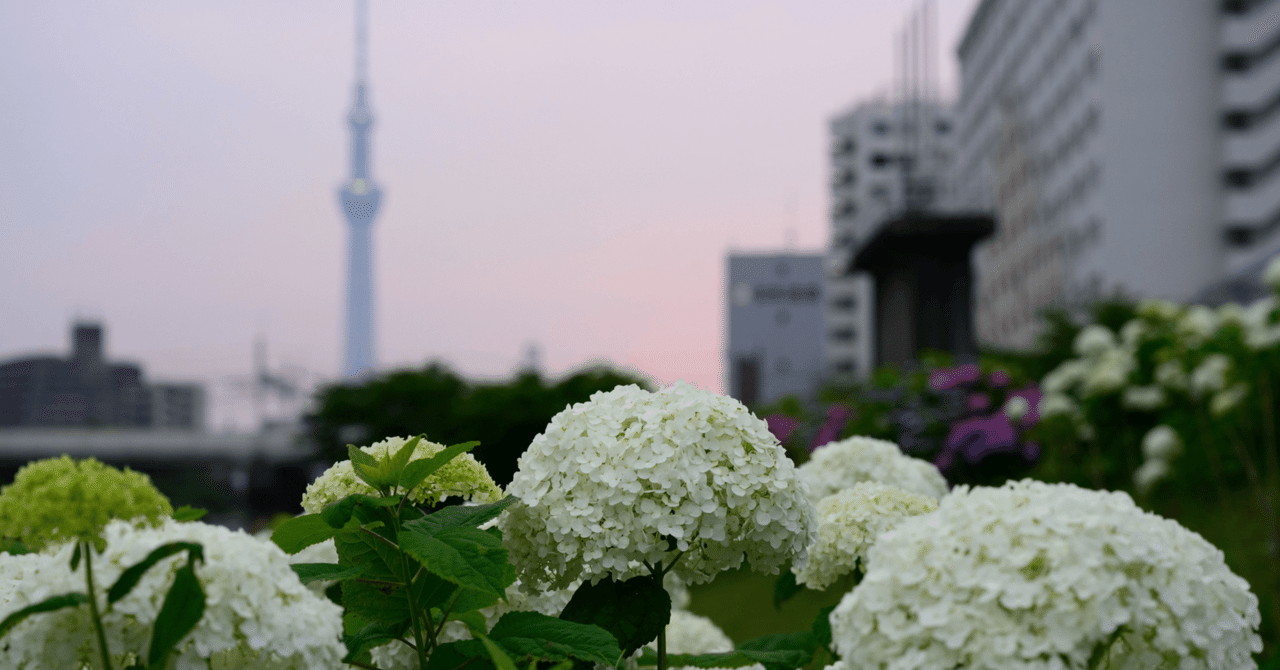 5月17日 新潟大賞典！｜GAMERA777