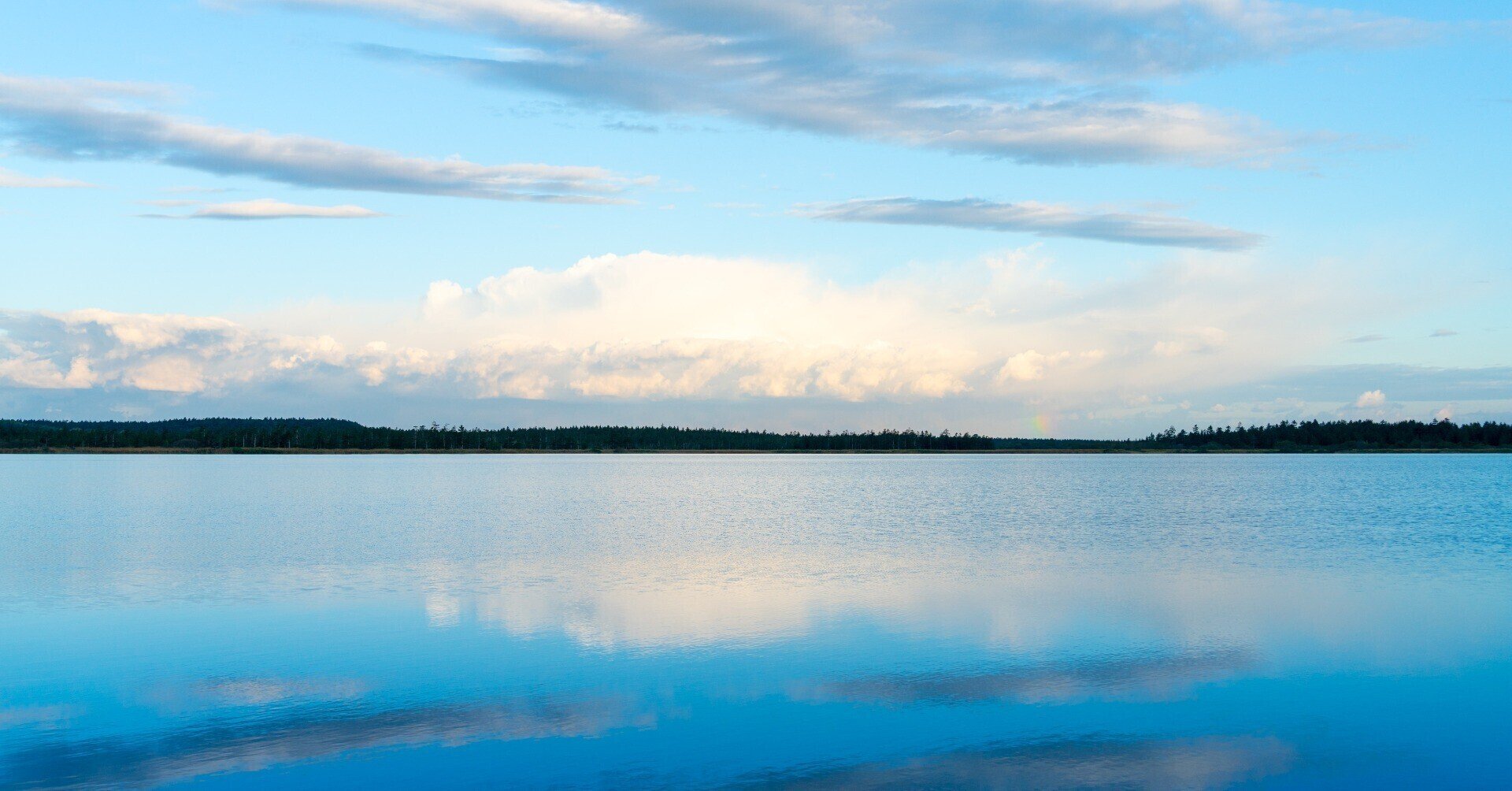 王子グループ コミュニケーションフィールド 「OJI TODAY」