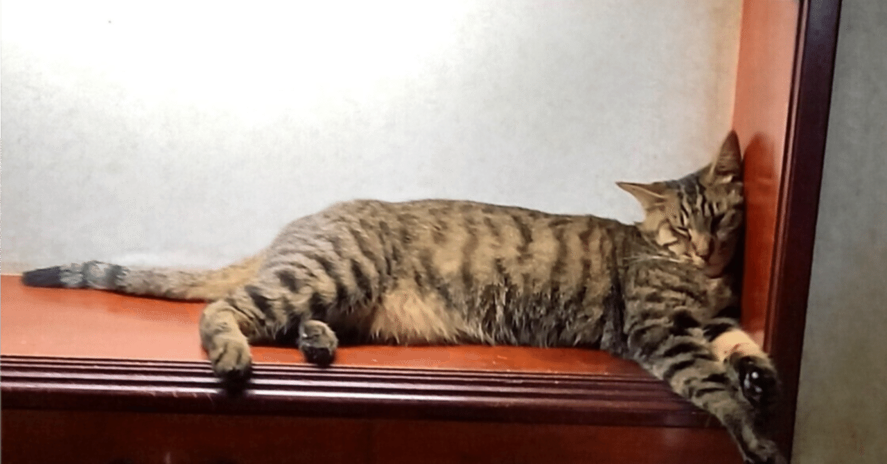 とにかく私の大好きな特撮ソング&アニメソングご紹介vol.25｜Moosan