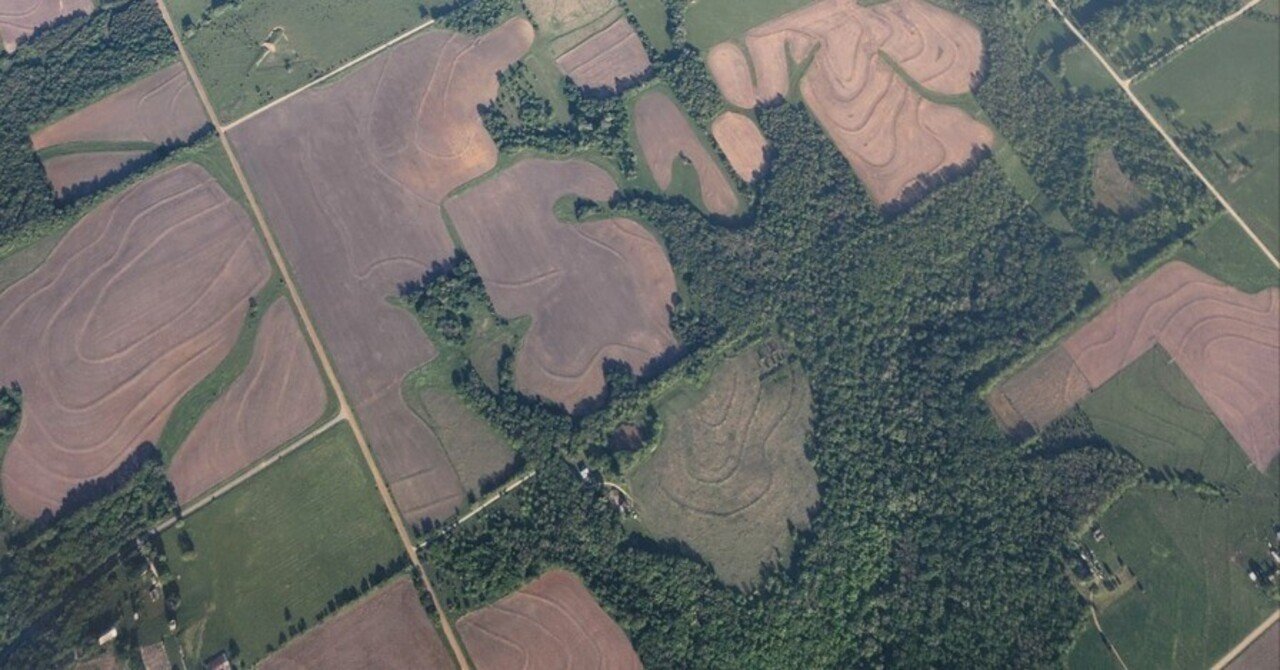 アメリカへ vol.2 ～映画「MUFASA」～｜minako