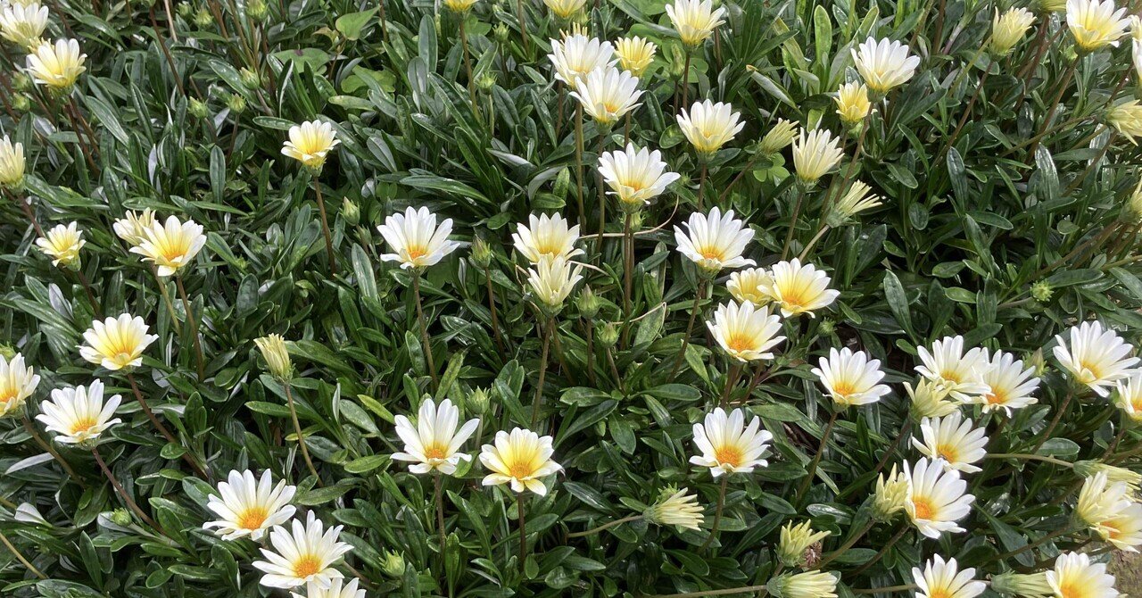 個の力と意識｜Ryutaro Hino