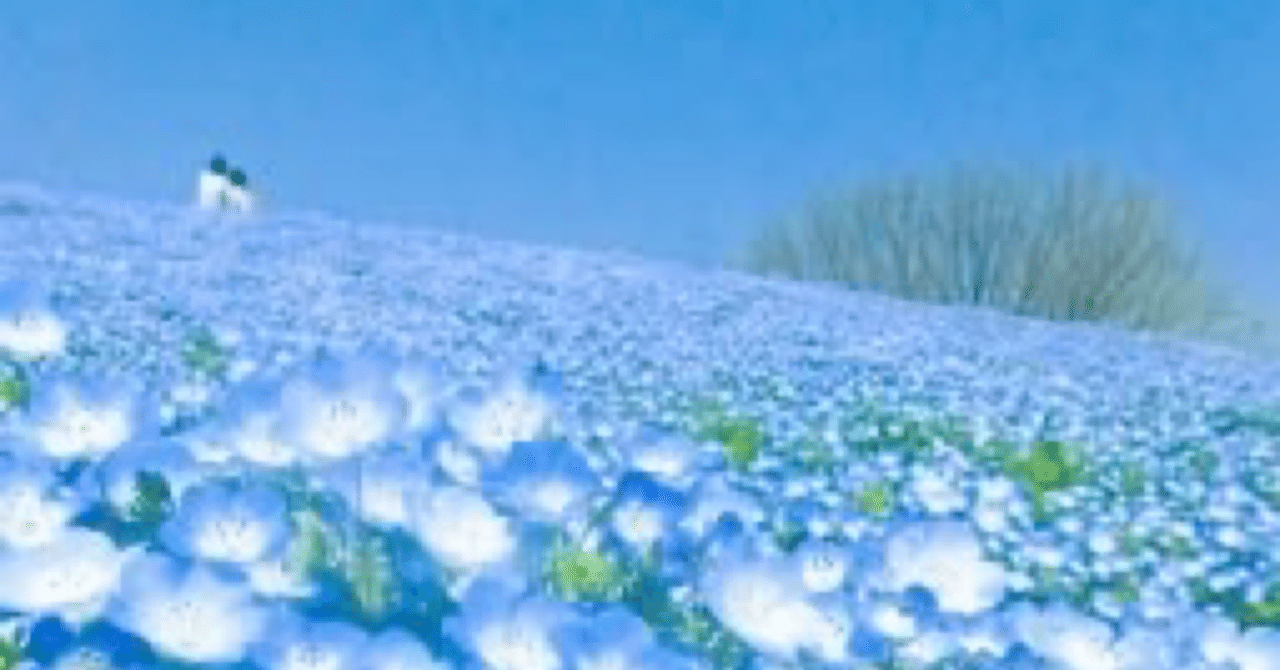 先ずは。日記。｜記憶の奏者ria-sora