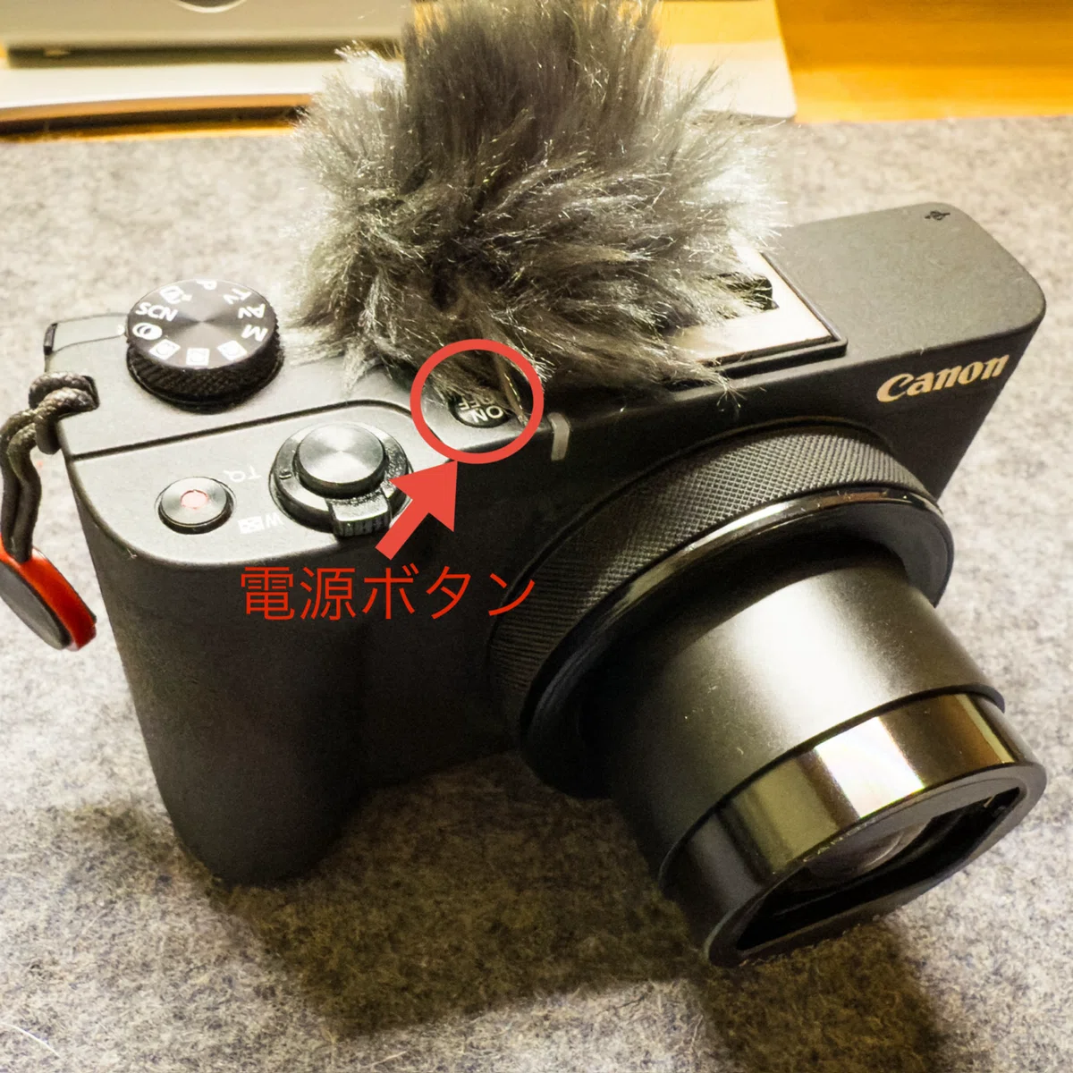 Canon PowerShot V1を使ってみて-猫写真付き-｜Xinn