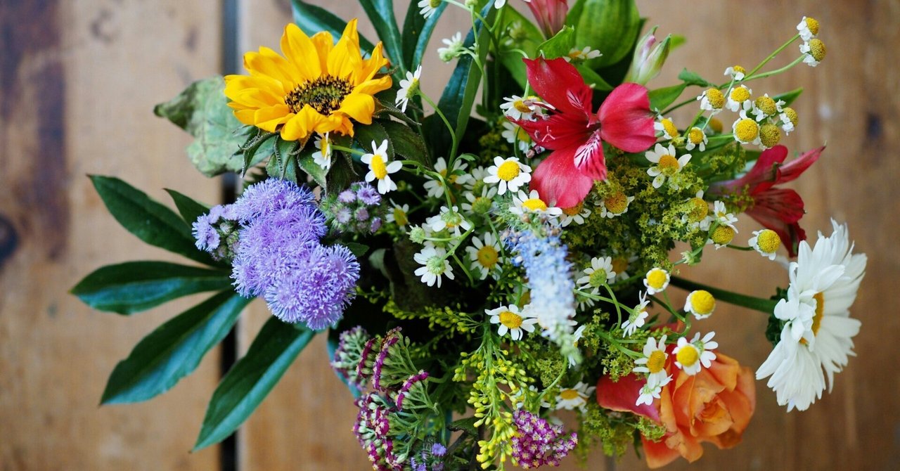 【ポートフォリオ】これまで書いてきた記事をまとめました（2025.5）｜yume｜夢を叶える小さな暮らし