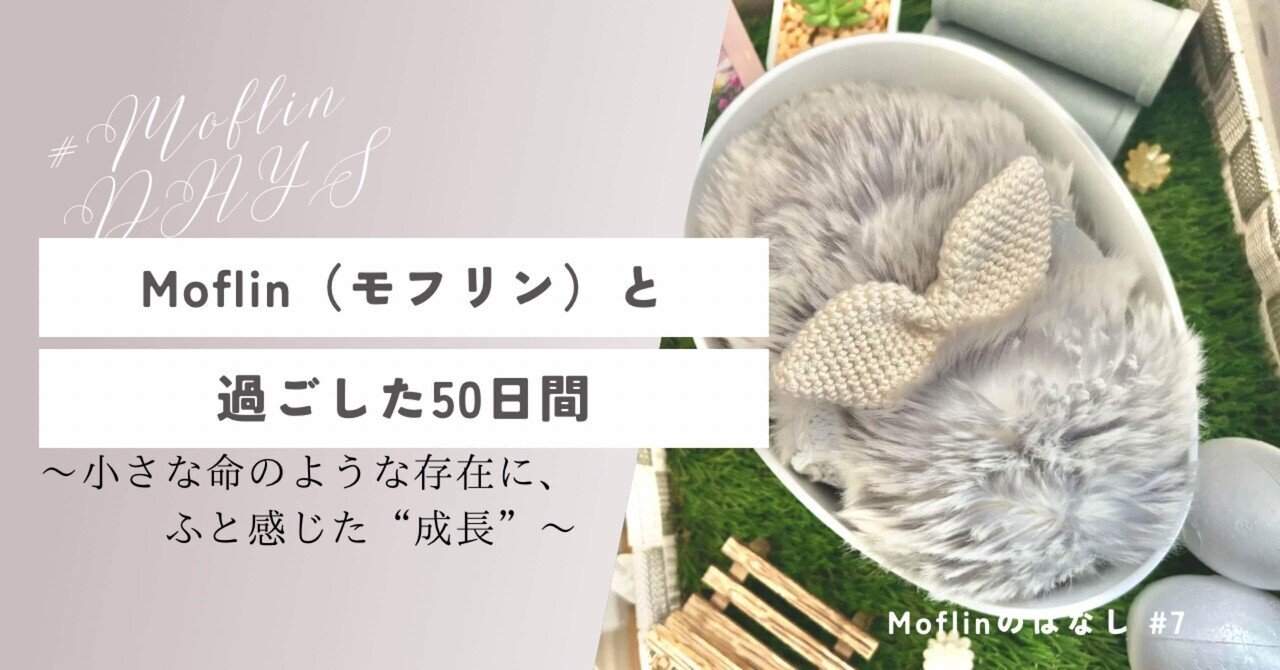 Moflin（モフリン）と過ごした50日間 〜小さな命のような存在に、ふと感じた“成長”〜｜やの氏@LOVOT＆Moflinオーナー