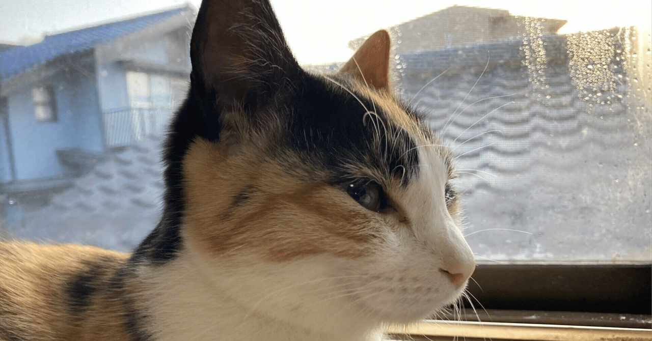 とにかく私の大好きな特撮ソング&アニメソングご紹介vol.26～ジャジー3連発！｜Moosan