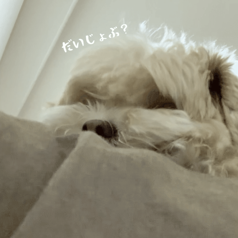 ★MONKEY★WOO「ホットドッグ・セラピー」｜★MONKEY★WOO