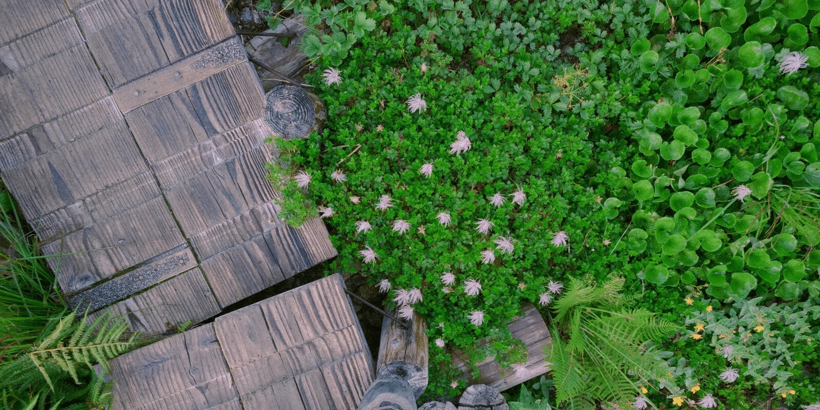 とむら | 193｜note