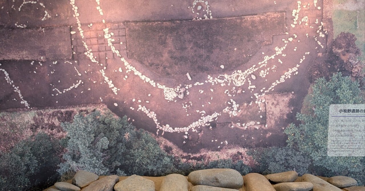 Tokyo tocotocoが青森をtocotoco😂②｜toco（Tokyo tocotoco）