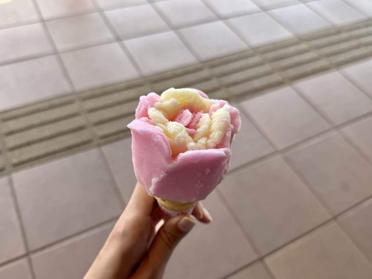 【秋田#1】男鹿半島をのんびり観光（2025/05）｜あんちゃん｜人生を豊かに