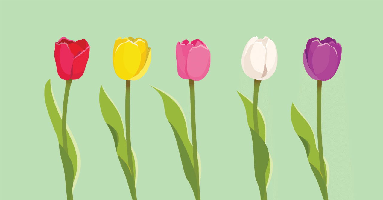 臨月突入！｜yuma